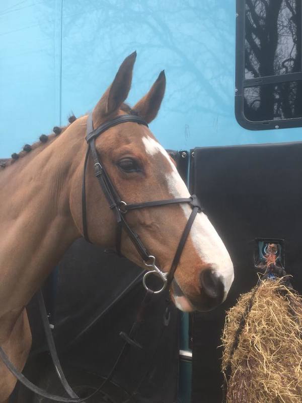 Petplan Equine Ambassador Jack Stancombe