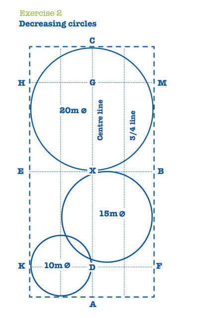 Exercise for horses in winter | Petplan