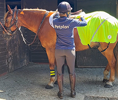 Riding and Road Safety | Petplan Equine
