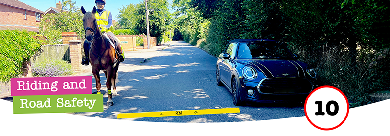 Riding and Road Safety Advice | Petplan Equine