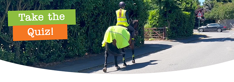 Riding and road safety Savvy Quiz | Petplan Equine