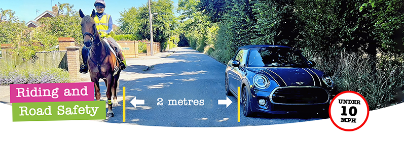 Riding and Road Safety | Petplan Equine