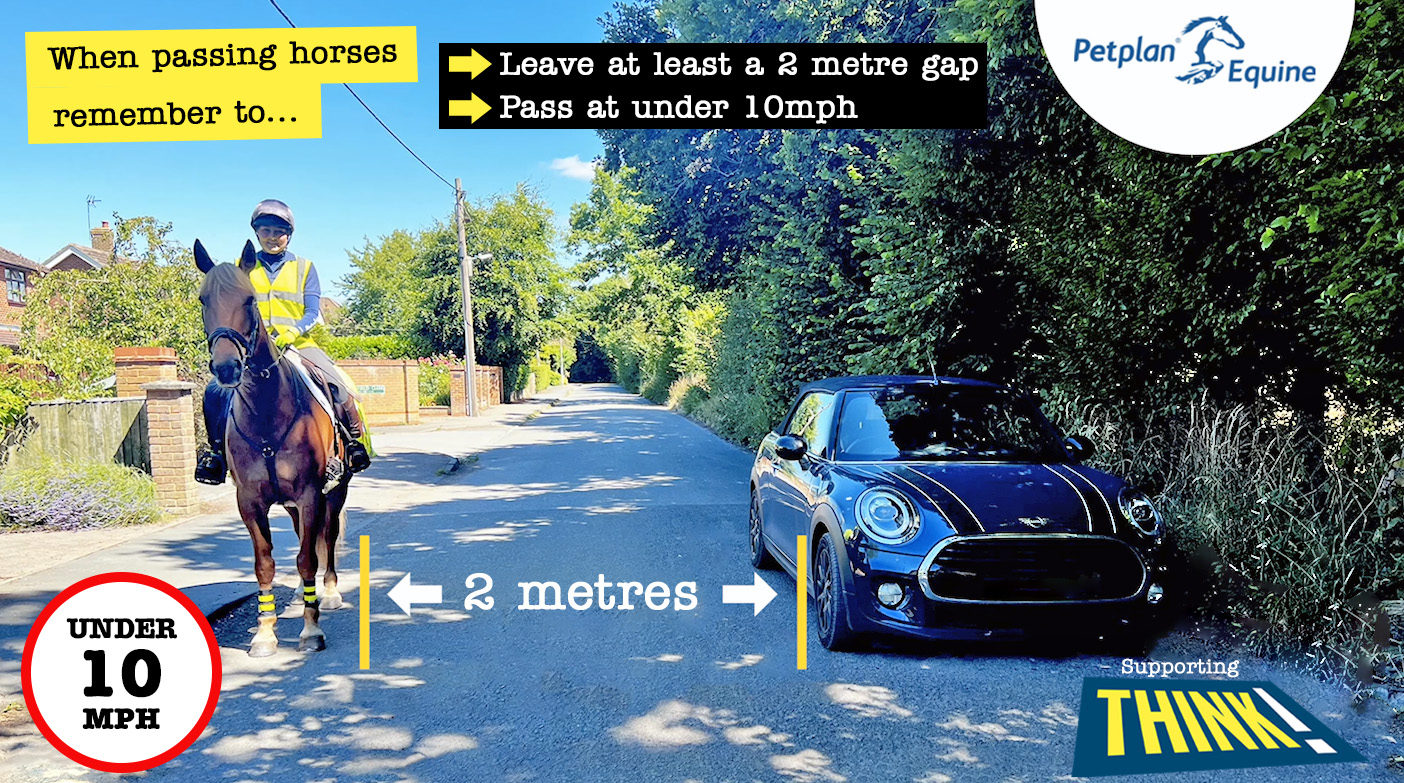 Riding and Road Safety Assets | Petplan Equine